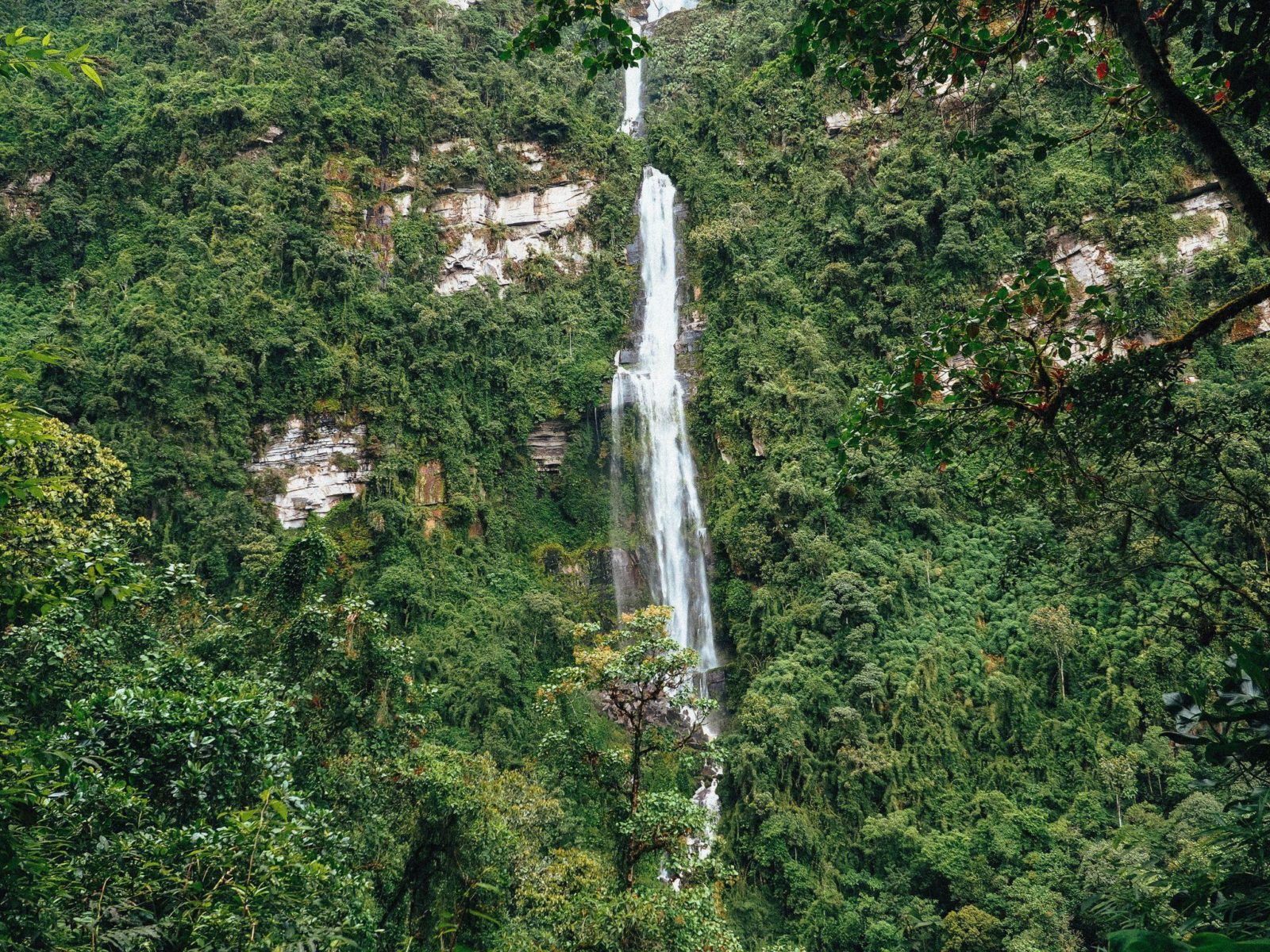 Best Day Trips from Bogota | Visiting Cascada la Chorrera Bogota