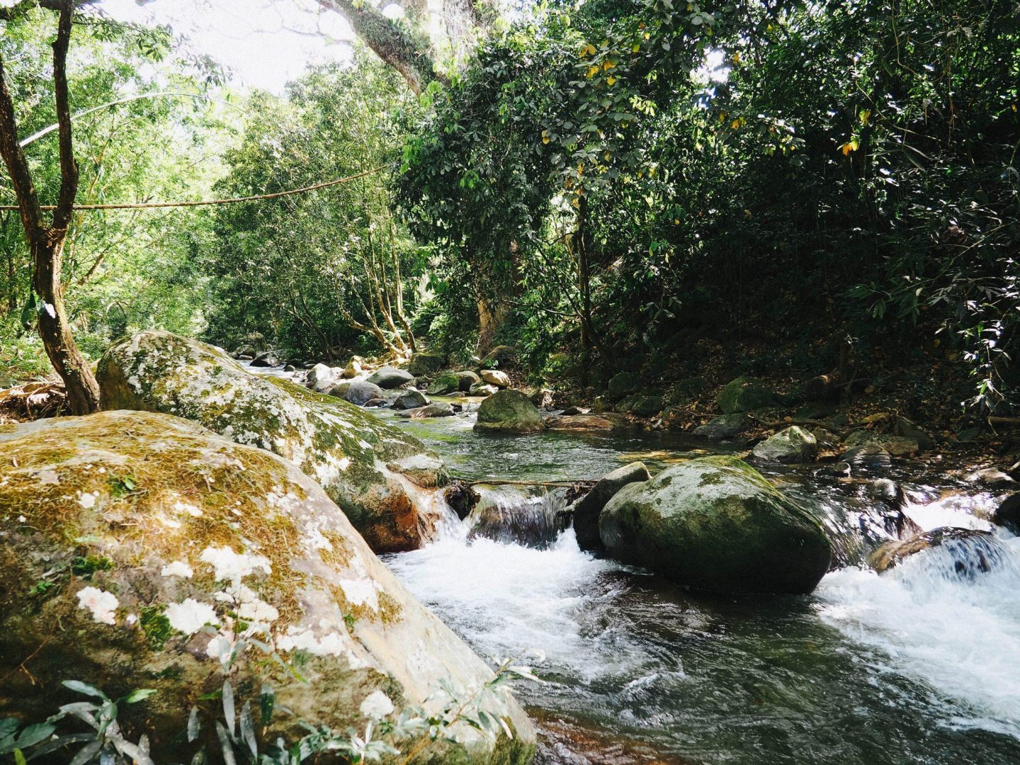 Minca Colombia | Things to do in Minca - including where to stay