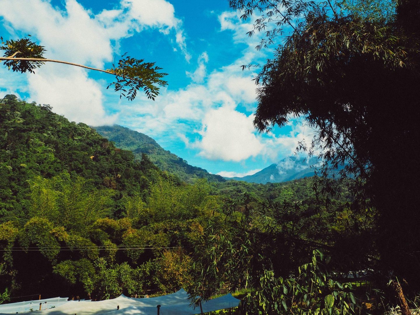 Minca Colombia | Things to do in Minca - including where to stay