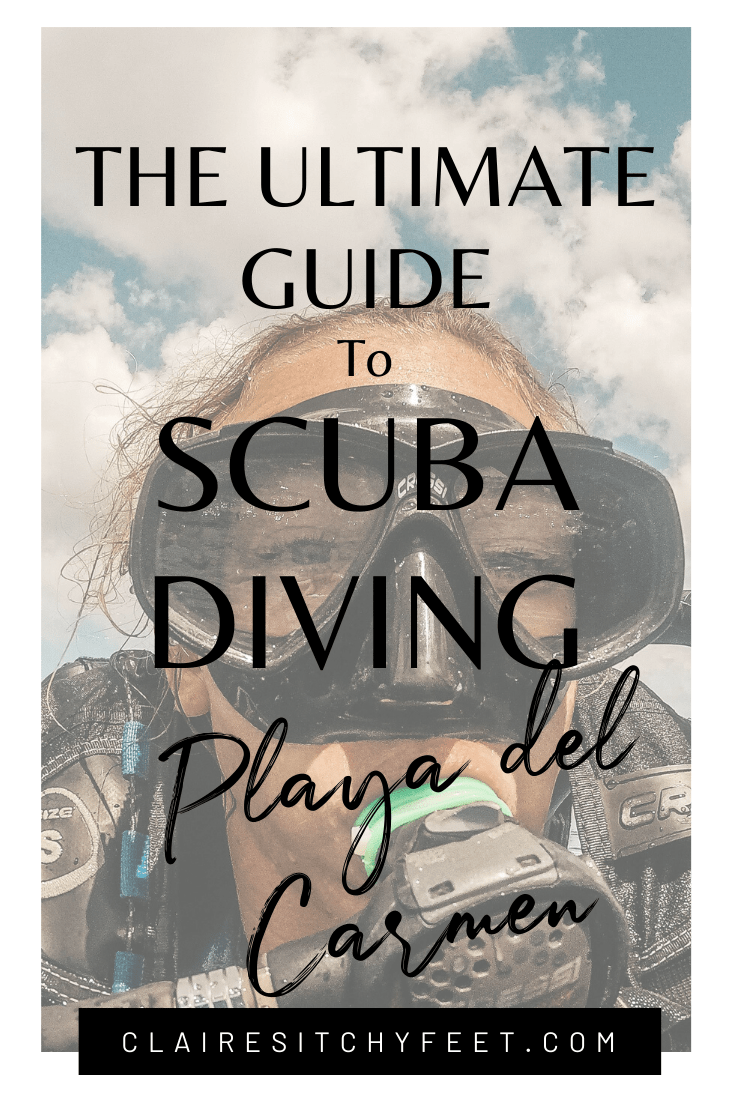 Scuba Diving Playa del Carmen The Comnplete Guide
