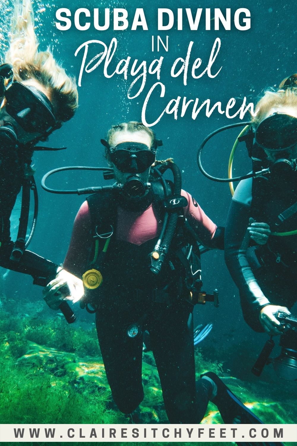 Scuba Diving Playa del Carmen The Comnplete Guide