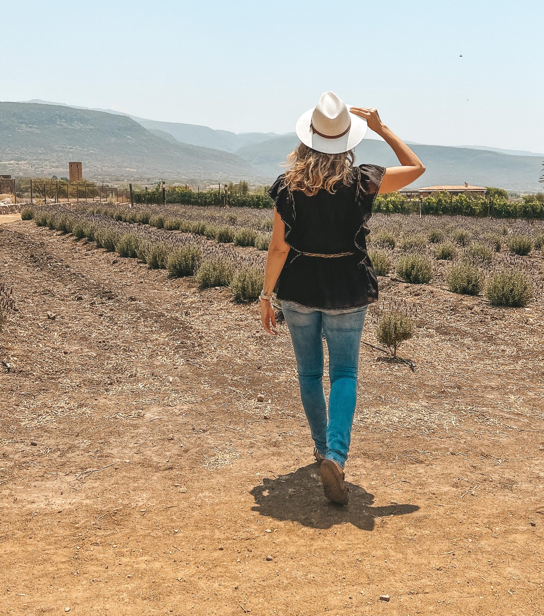 Guanajuato Mexico Itinerary | Guanajuato Road Trip 2023