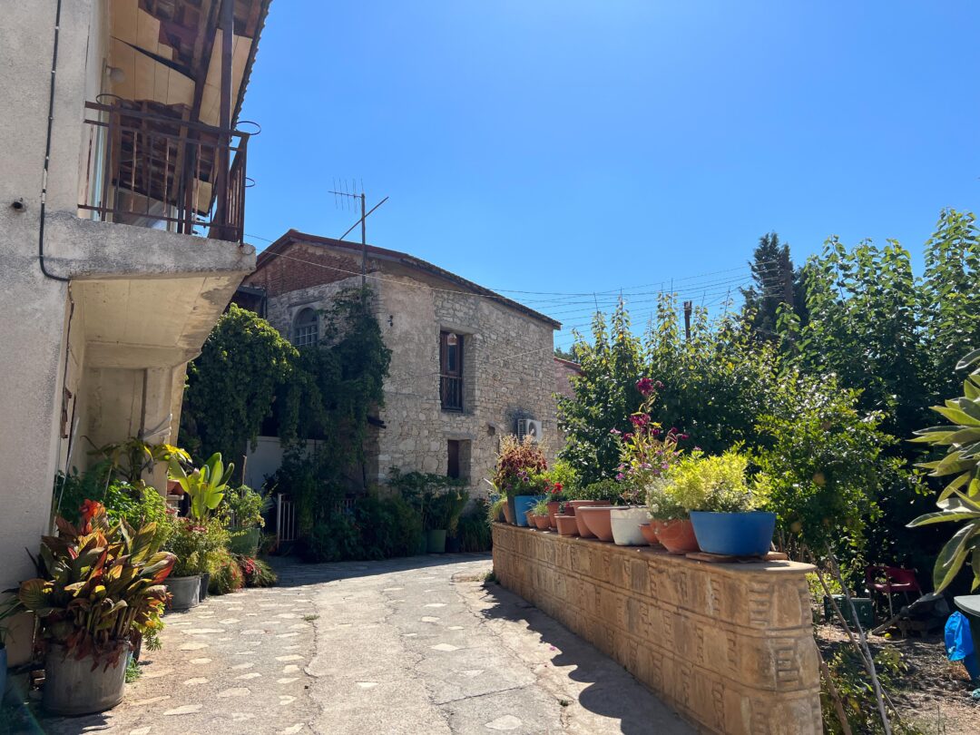 Commandaria Wine Tour Cyprus Review | Wine Tasting In Cyprus