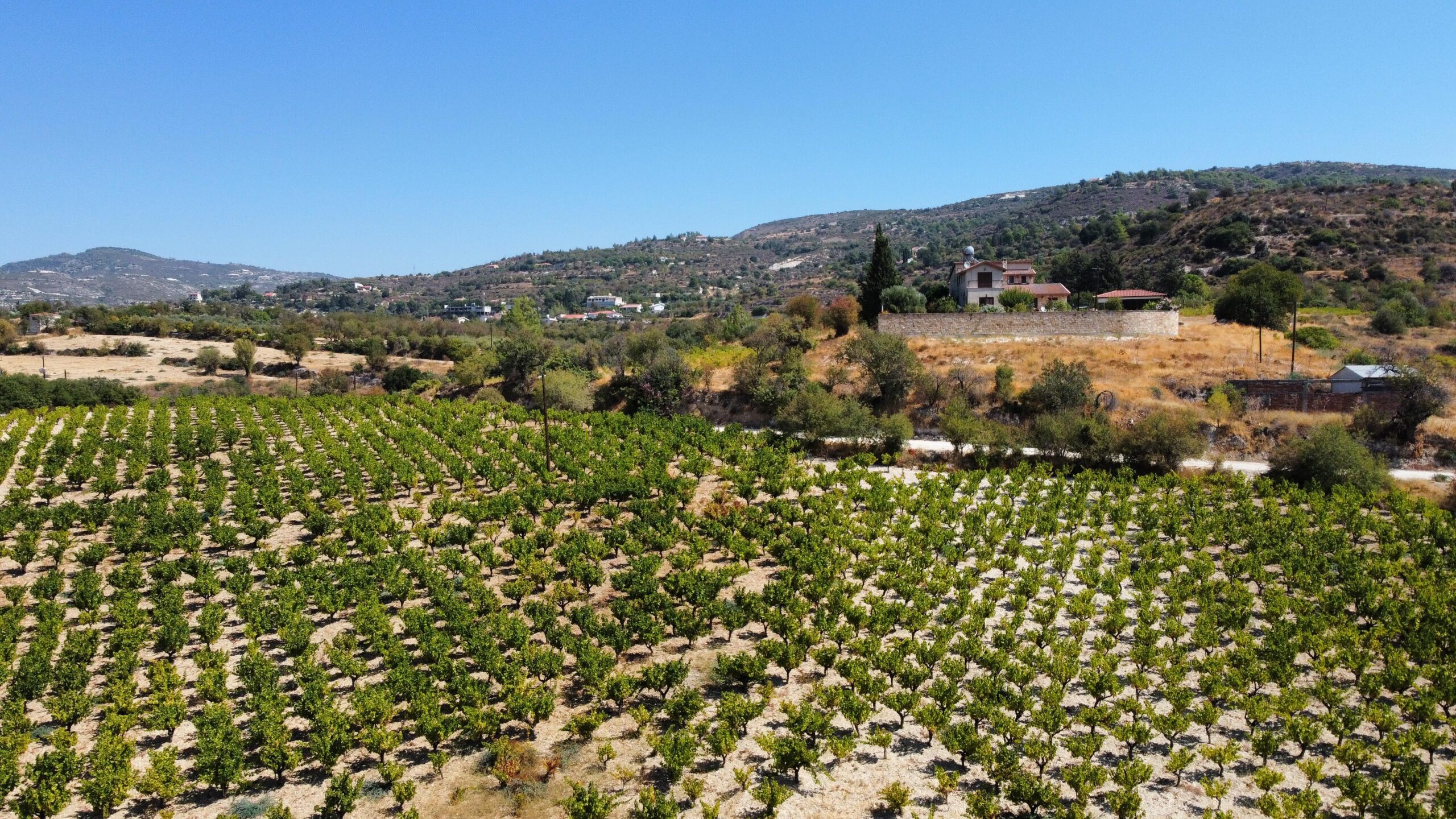Commandaria Wine Tour Cyprus Review | Wine Tasting In Cyprus