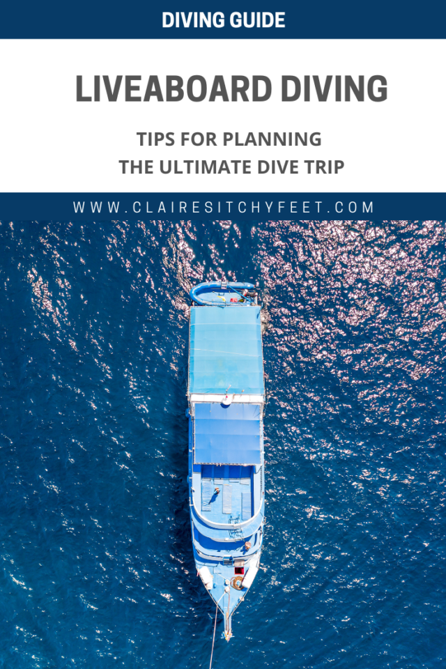 Liveaboard Diving: Tips for Planning the Ultimate Dive Trip