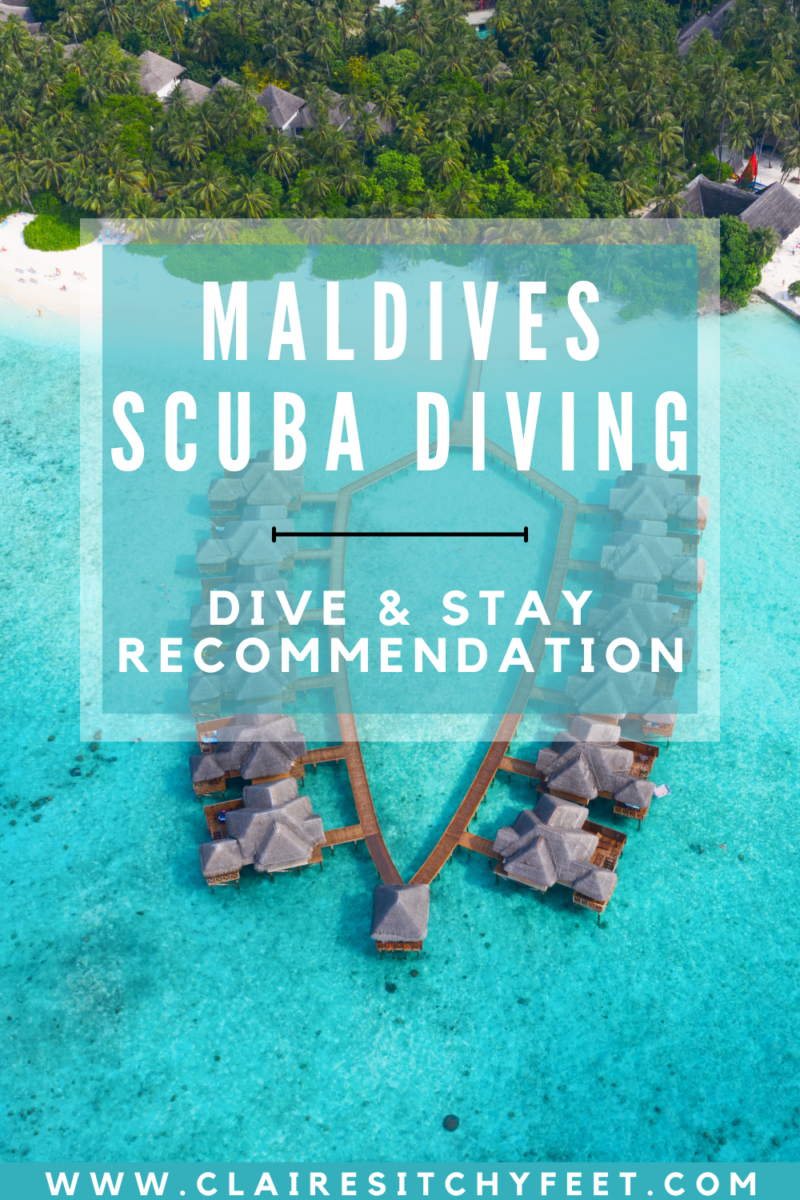 Maldives Diving The Ultimate Guide To Scuba Diving in 2024