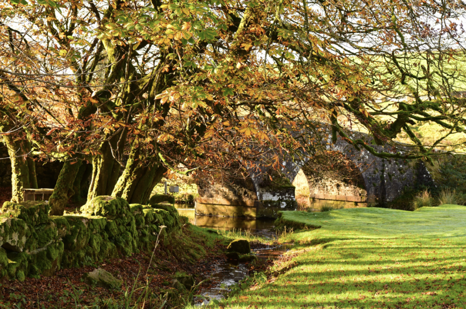 Ultimate Guide: The Best Things to Do in Devon