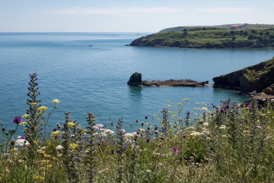 Ultimate Guide: The Best Things to Do in Devon