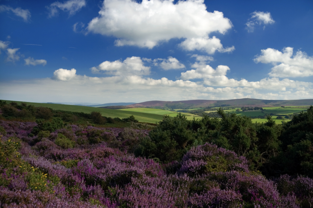 Ultimate Guide: The Best Things to Do in Devon